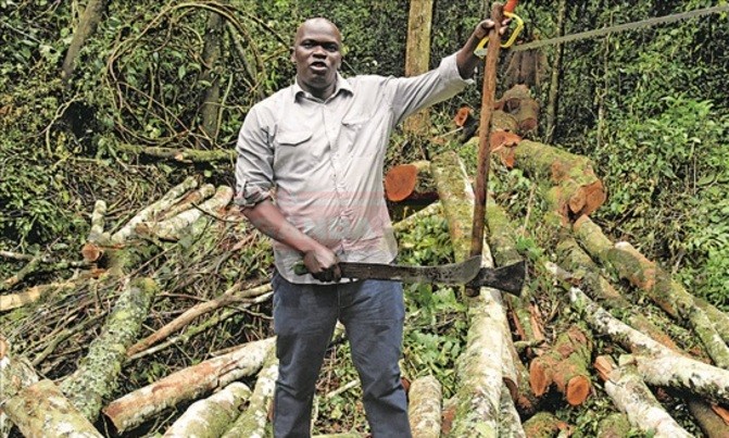 President Museveni is committed to restoring Bugoma forest - Uganda Times